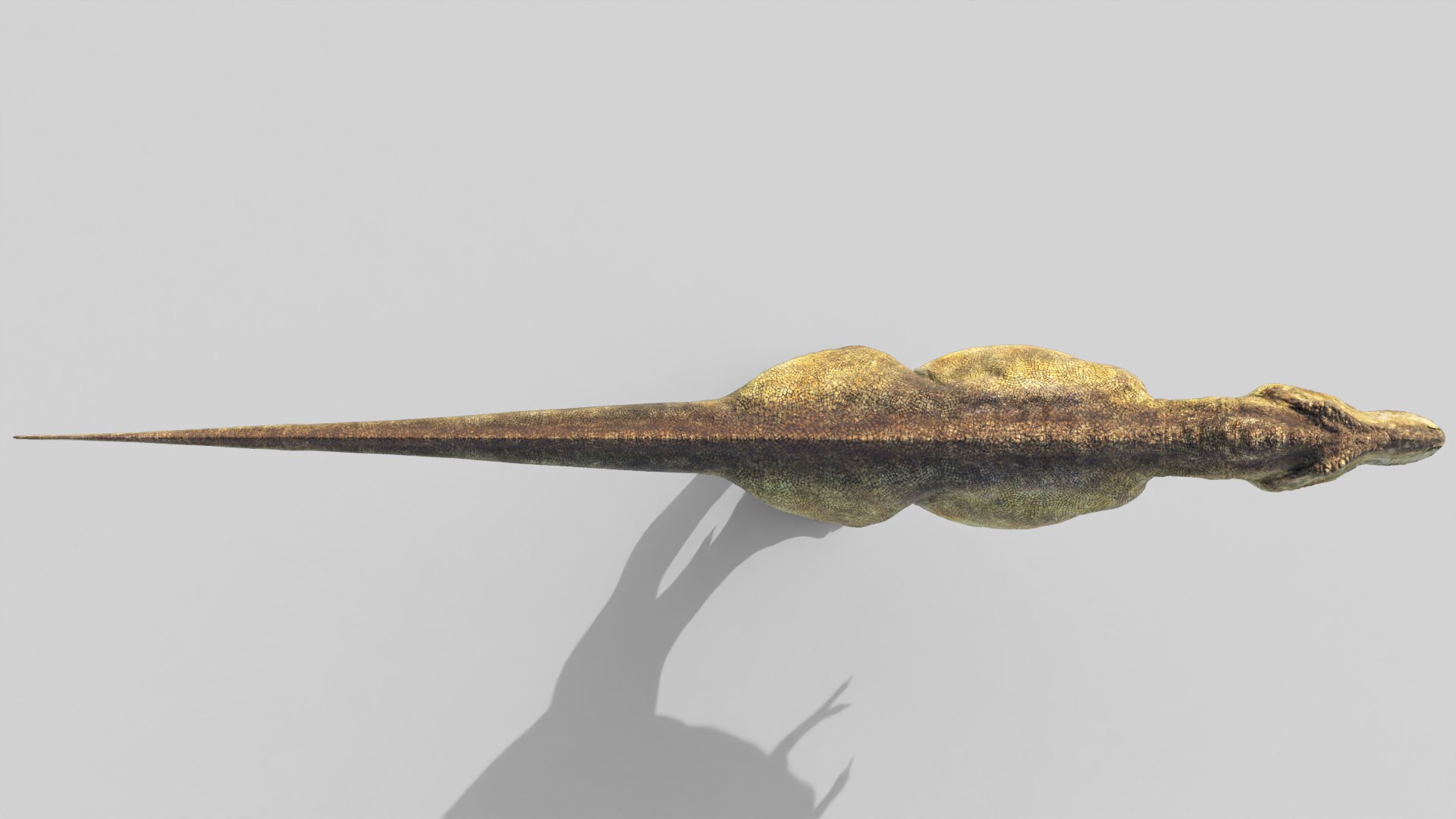 3D Tyrannosaurus Rex T-Rex Anatomically Accurate Model - TurboSquid 2392068