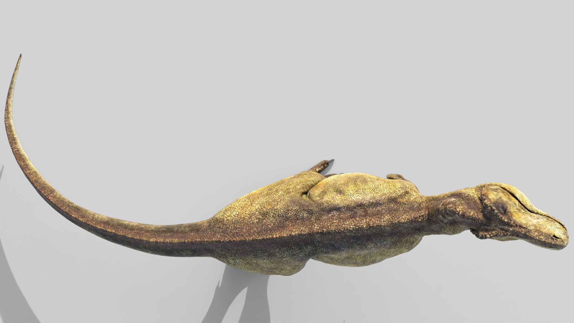 3D Tyrannosaurus Rex T-Rex Anatomically Accurate Model - TurboSquid 2392068