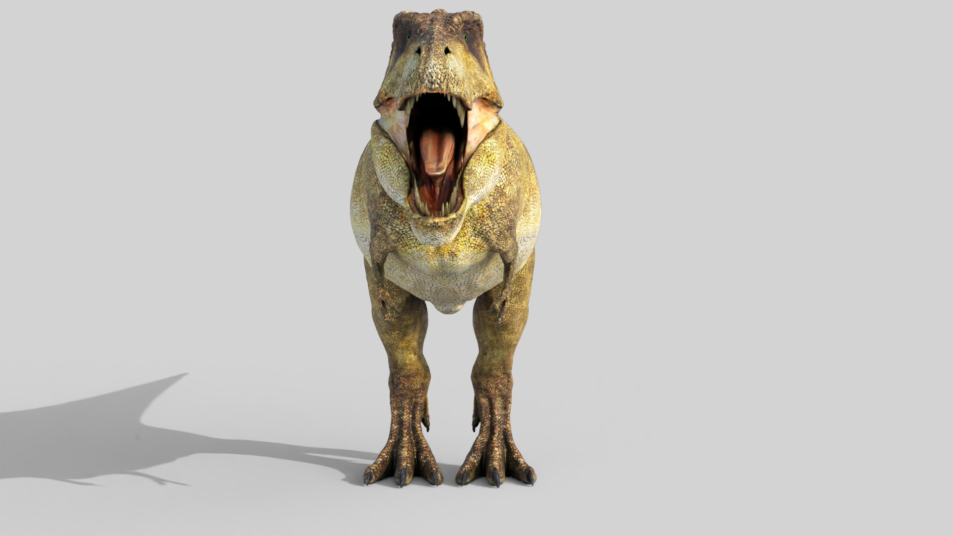 3D Tyrannosaurus Rex T-Rex Anatomically Accurate Model - TurboSquid 2392068