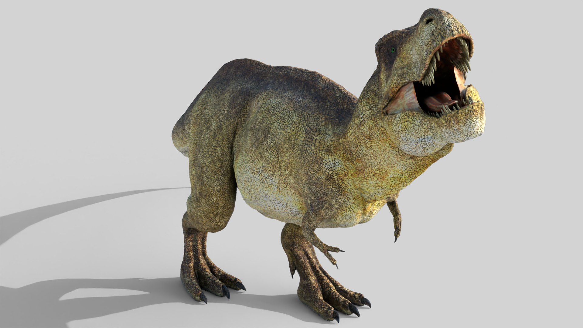 3D Tyrannosaurus Rex T-Rex Anatomically Accurate Model - TurboSquid 2392068