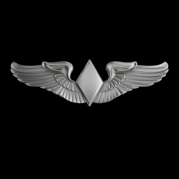 3D usaaf command pilot wings - TurboSquid 1293058