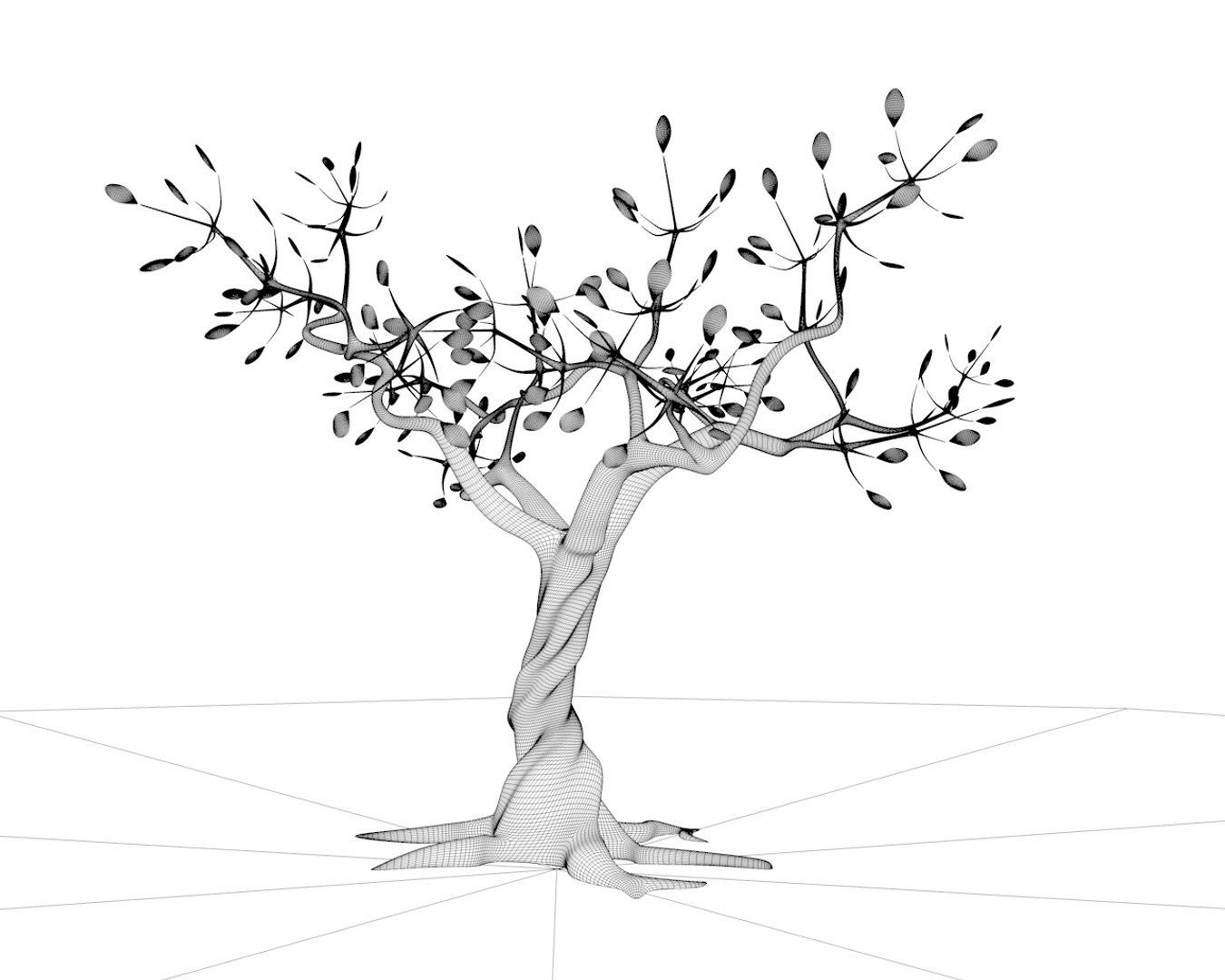 3D Old Twisted Tree - TurboSquid 1452411