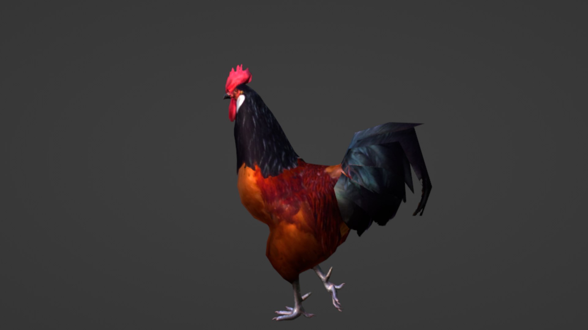 Rooster 3D Model - TurboSquid 2069886