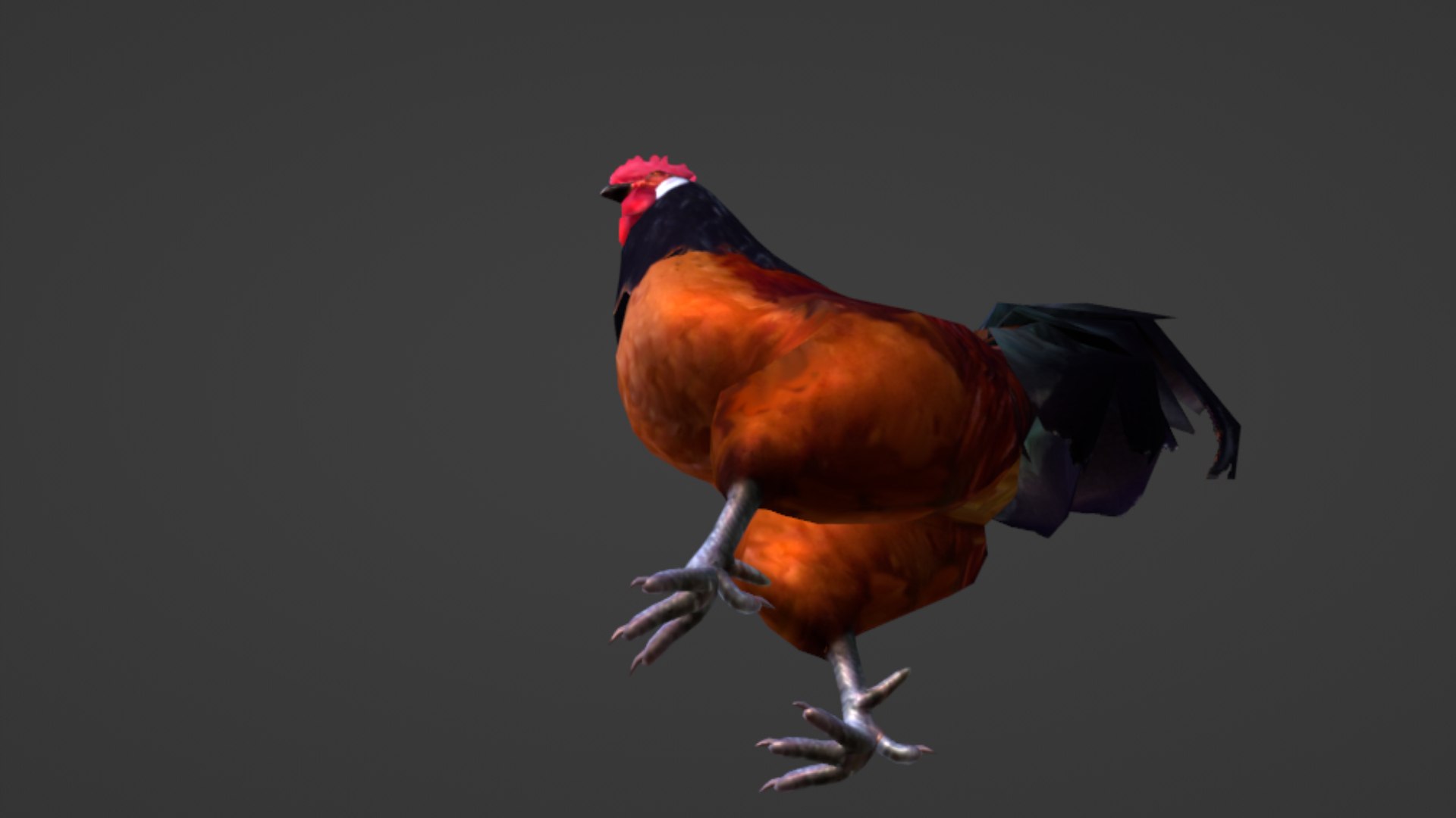 Rooster 3D Model - TurboSquid 2069886