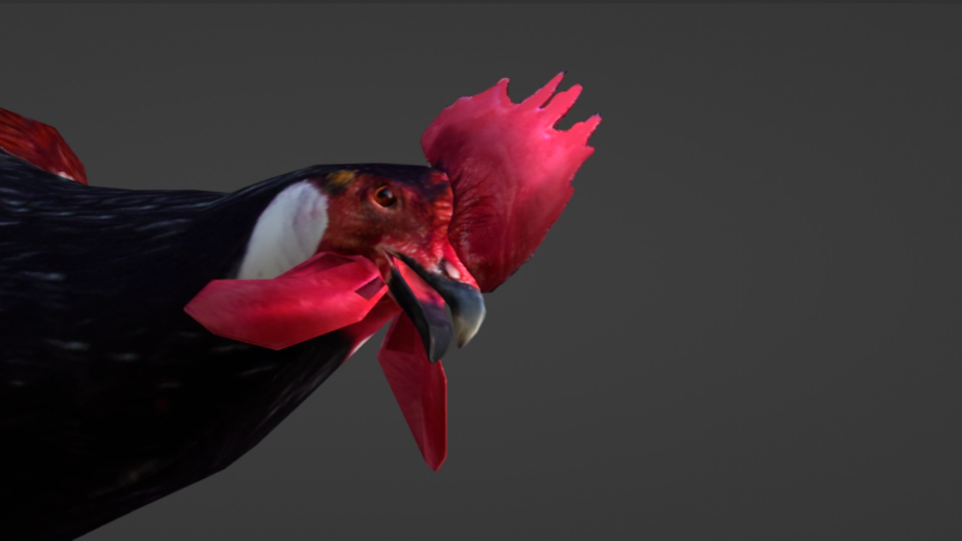 Rooster 3D Model - TurboSquid 2069886