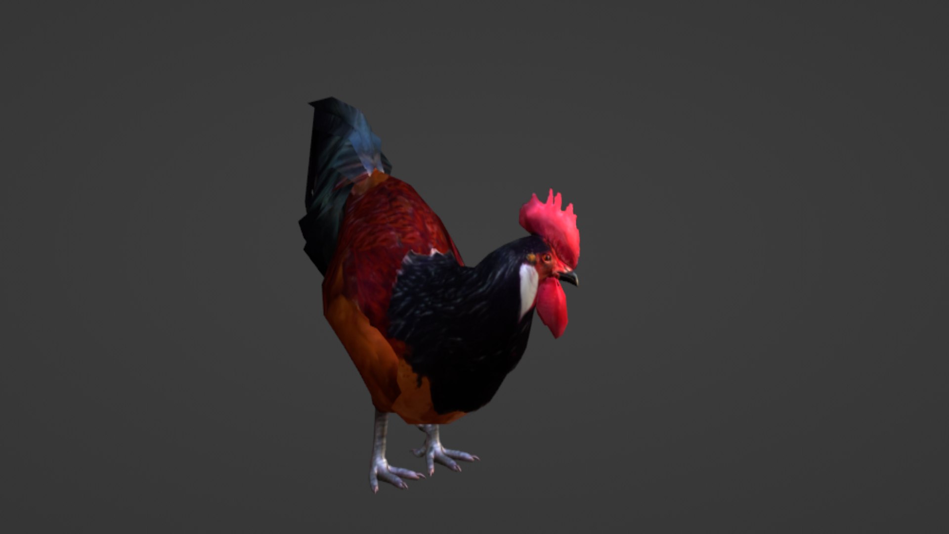 Rooster 3D Model - TurboSquid 2069886