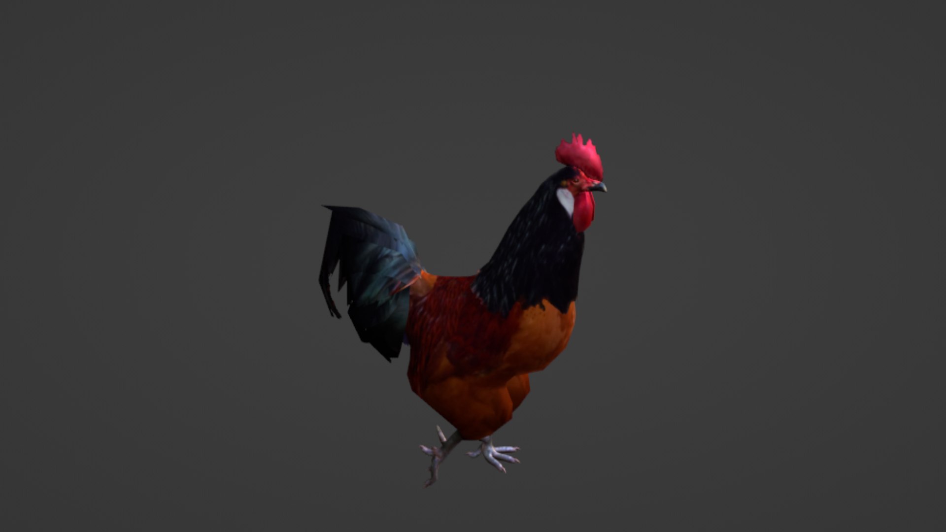 Rooster 3D Model - TurboSquid 2069886