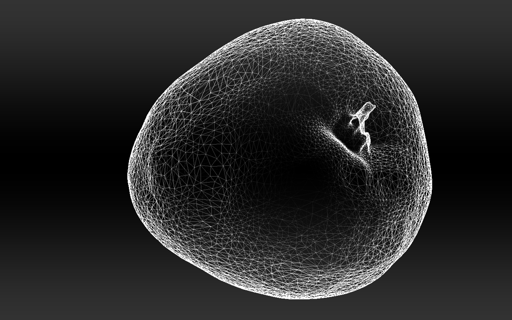 Tomato 3D Scan 3D - TurboSquid 1743822