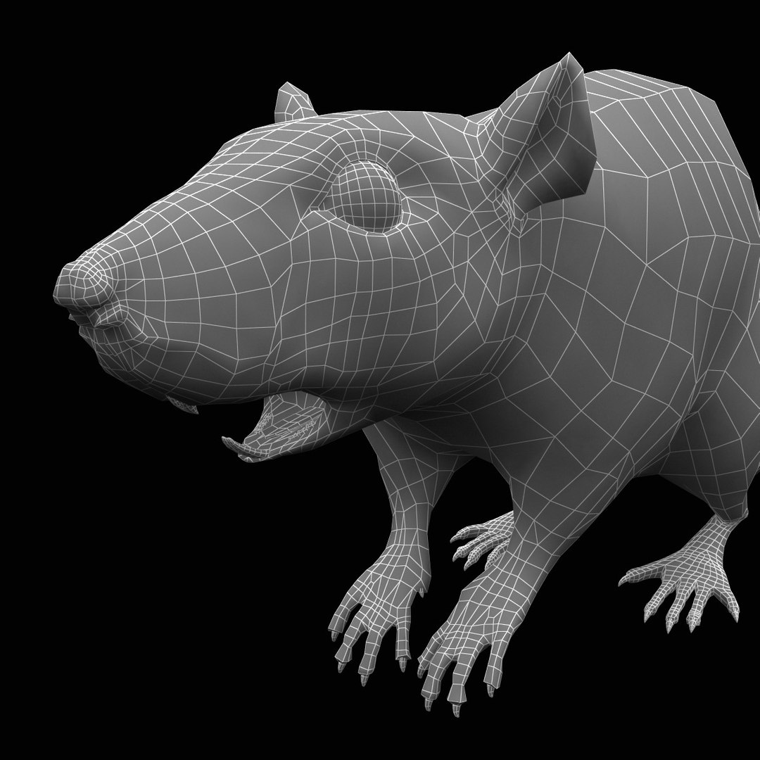 Rat Modelled 3d Model