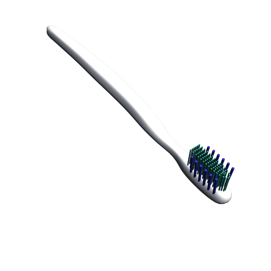 toothbrush tooth 3d model