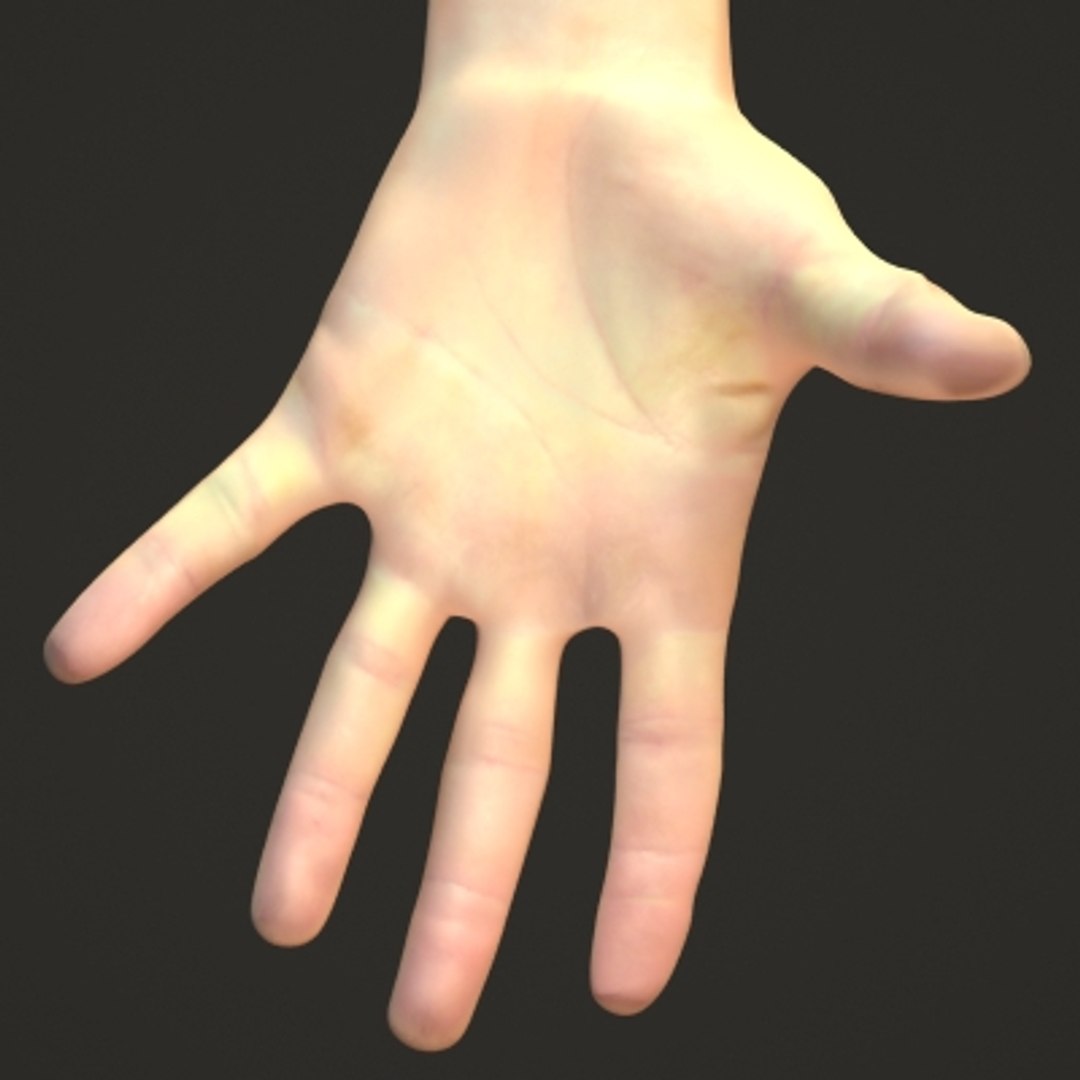 3d Hand Human Materials Model