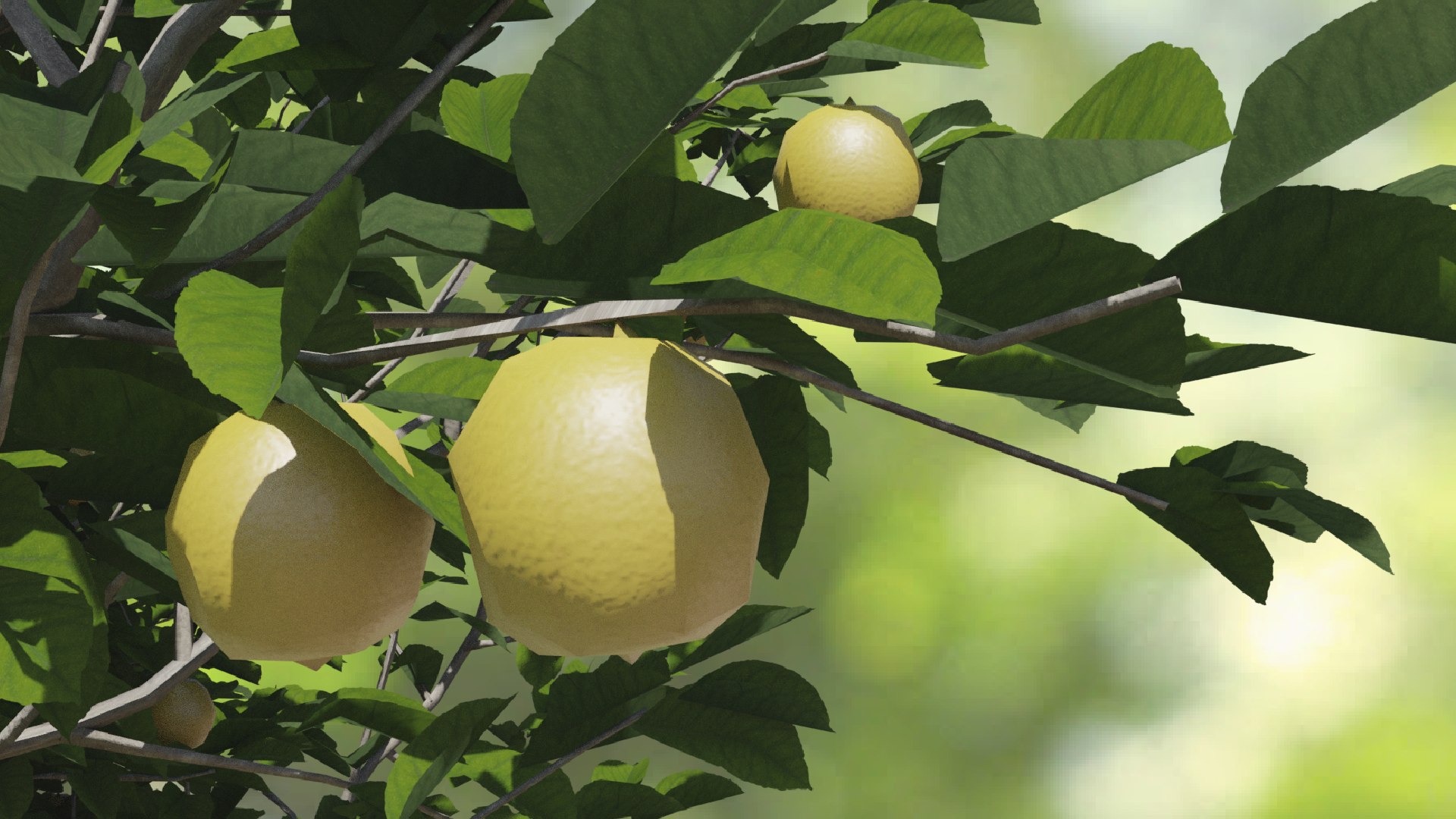 3D Lemon Tree Pack - TurboSquid 1537174