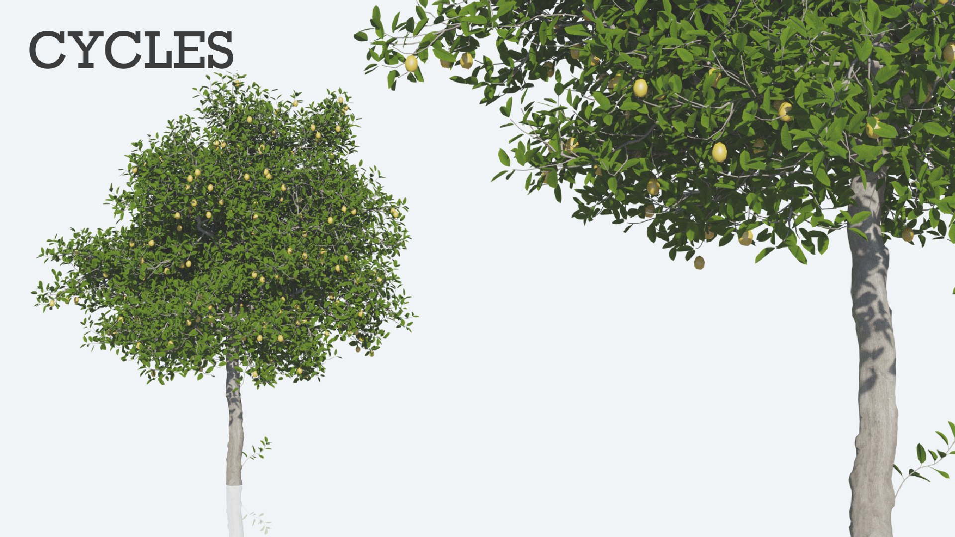 3D Lemon Tree Pack - TurboSquid 1537174