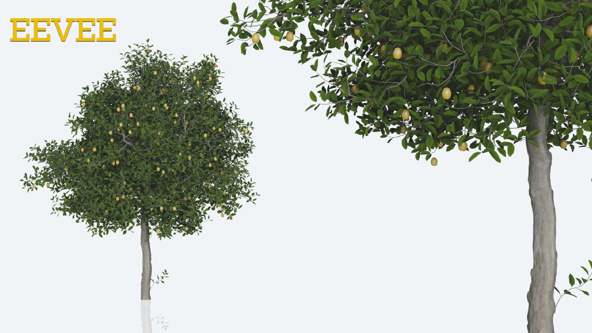 3D Lemon Tree Pack - TurboSquid 1537174