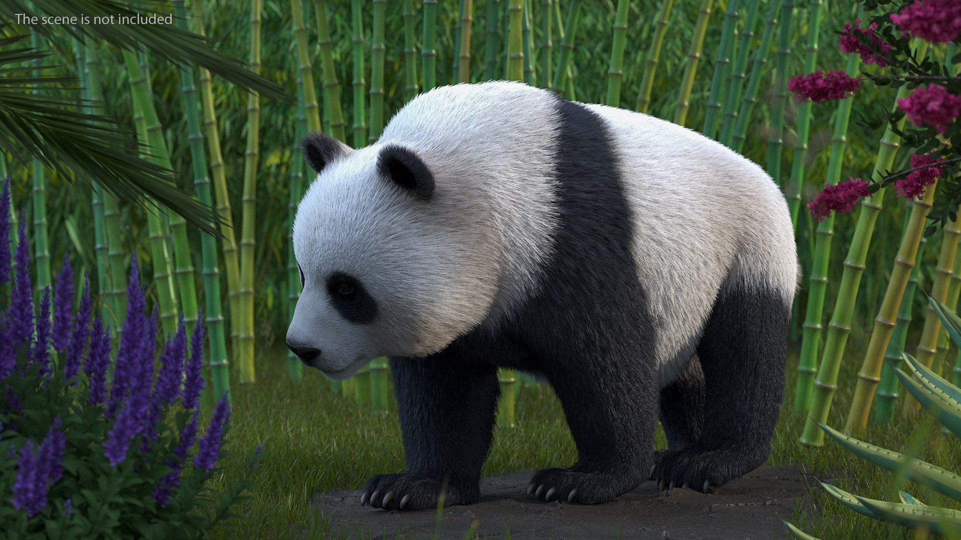 3D Giant Panda Walking Pose Fur Model - TurboSquid 1810282