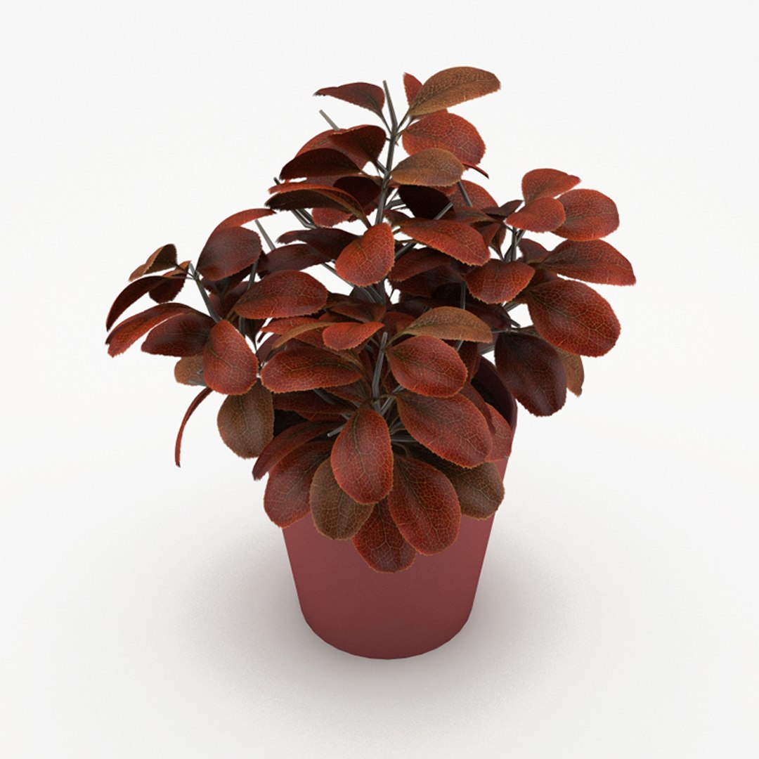 3ds max flower pot
