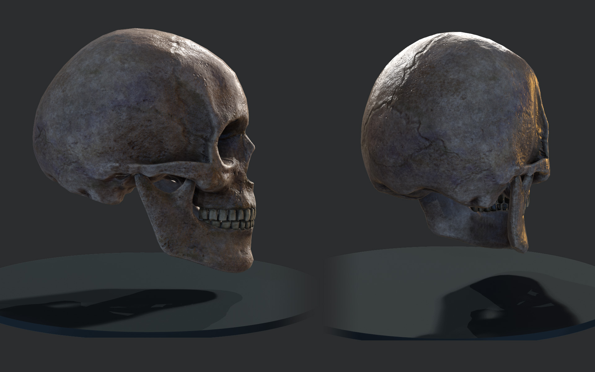 3D skull details pbr - TurboSquid 1199420