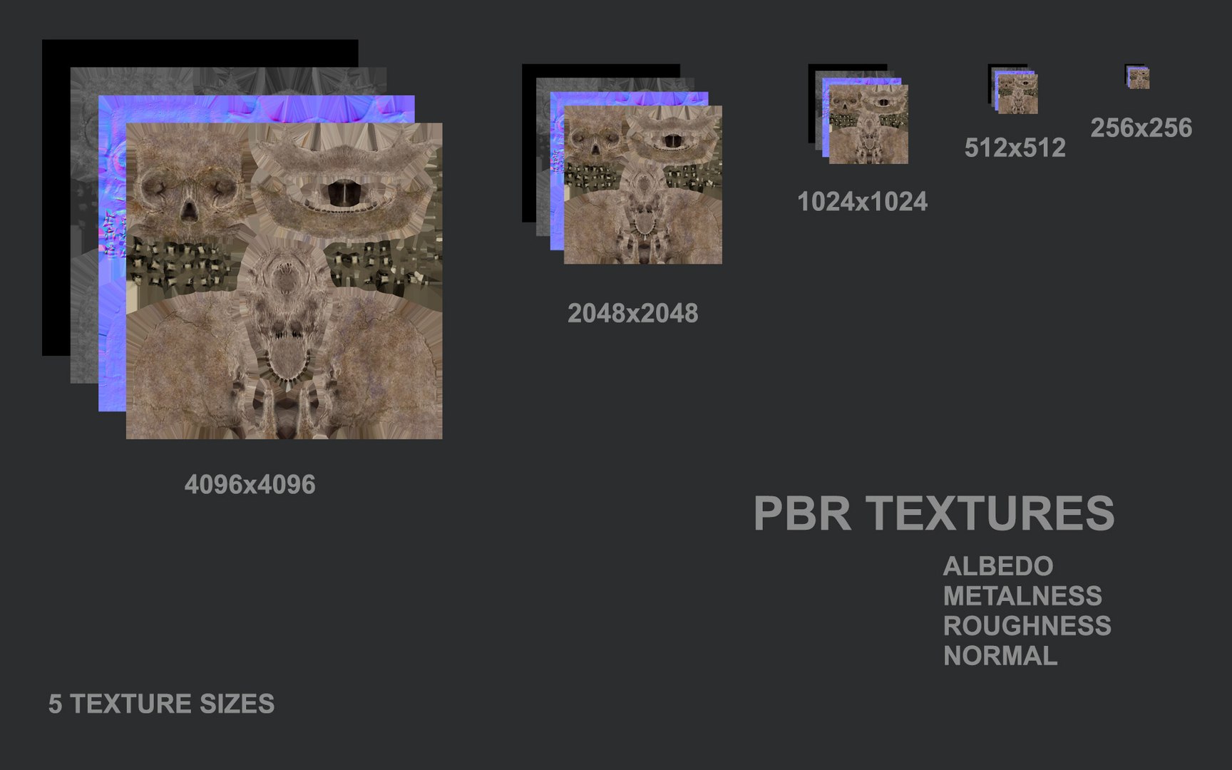 3D Skull Details Pbr - TurboSquid 1199420