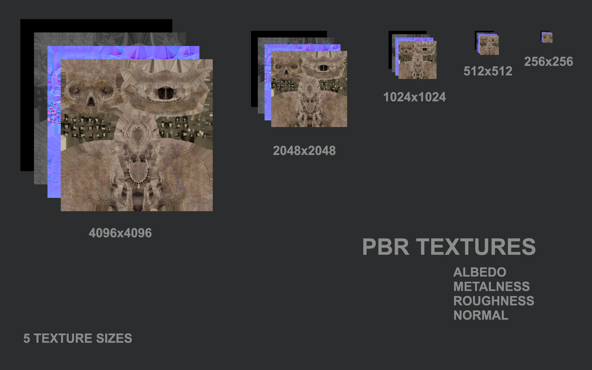 3D skull details pbr - TurboSquid 1199420