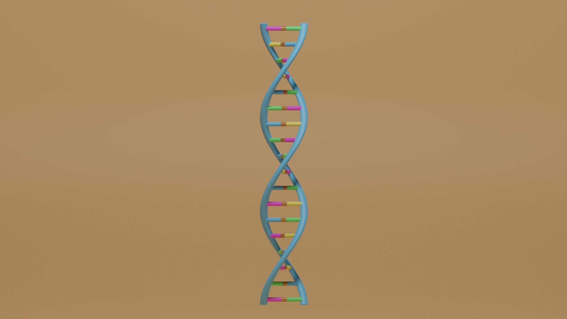 Cartoon DNA 3D Model - TurboSquid 1754557