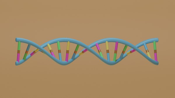 Cartoon DNA 3D model - TurboSquid 1754557