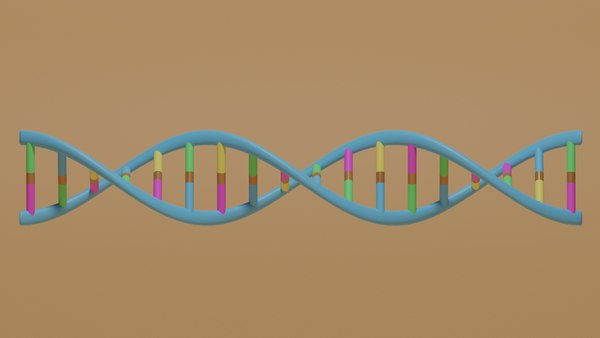 Cartoon DNA 3D model - TurboSquid 1754557