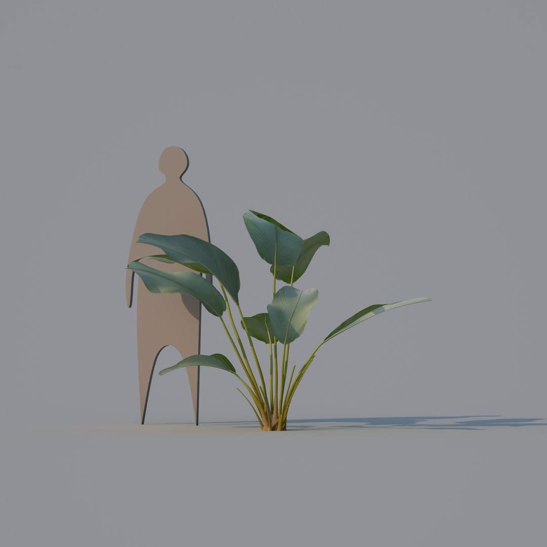 3D Lutea Calathea - TurboSquid 1430423