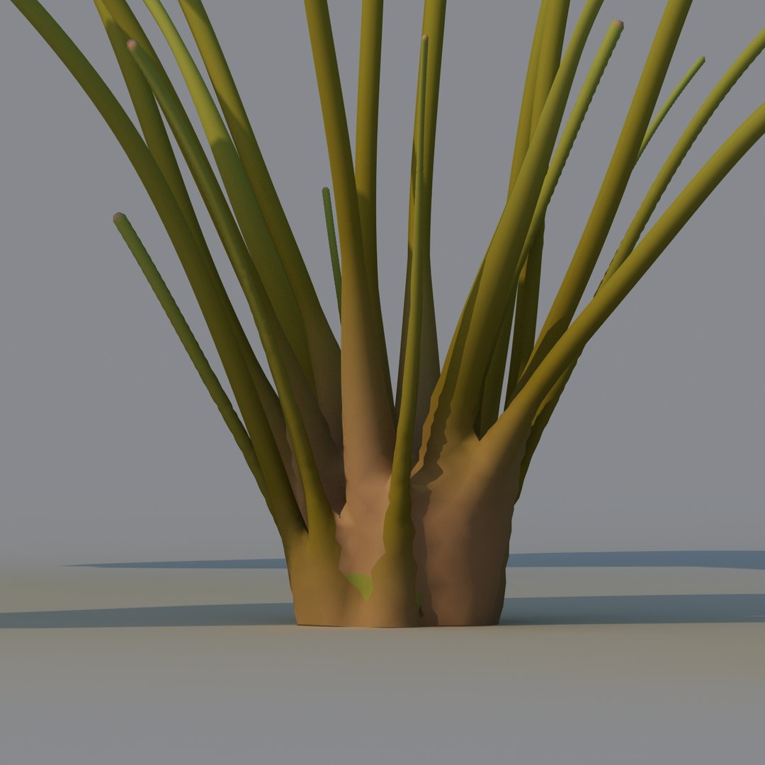 3D Lutea Calathea - TurboSquid 1430423