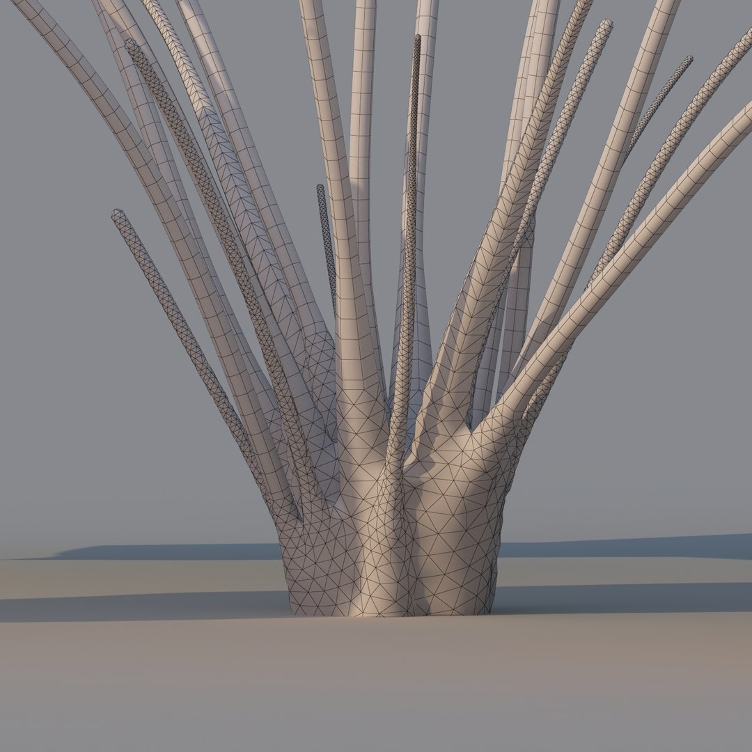 3D Lutea Calathea - TurboSquid 1430423
