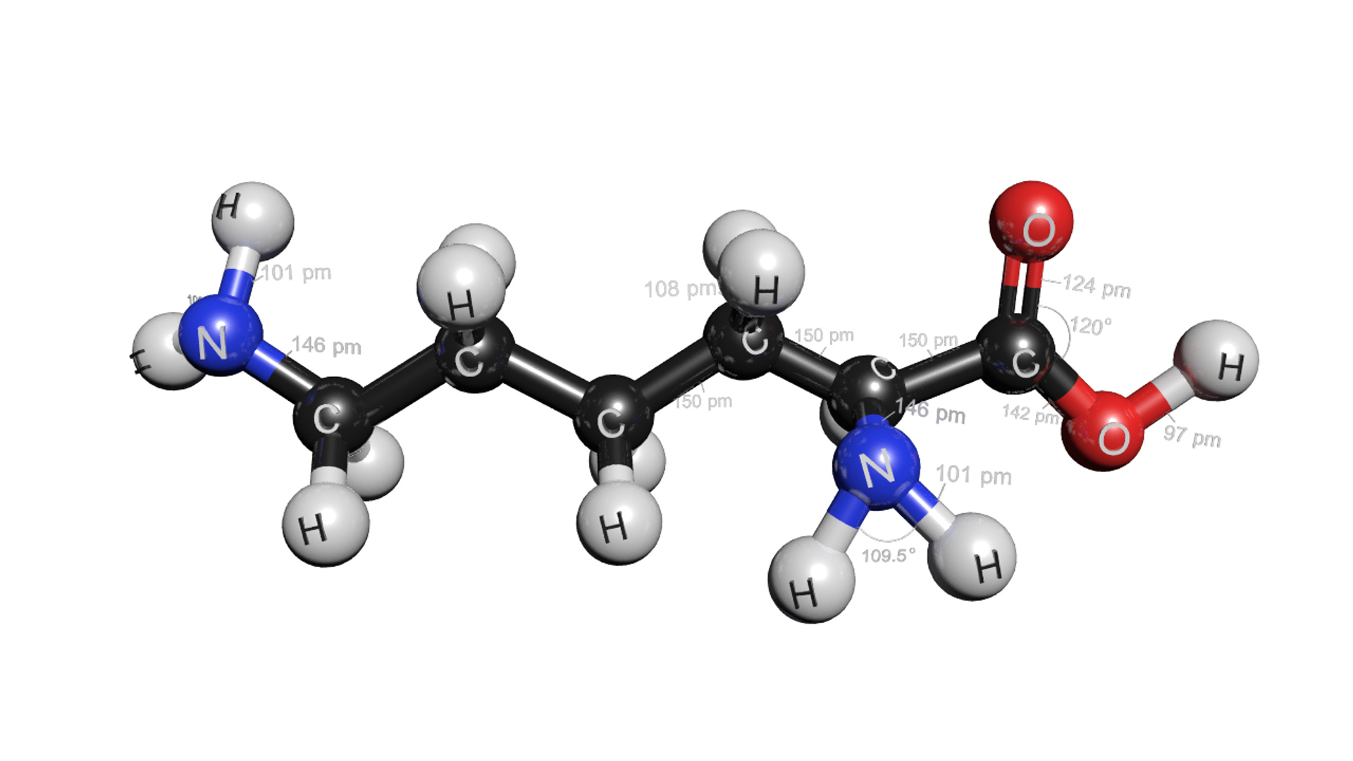 3D c6h14n2o2 lysine model - TurboSquid 1425564