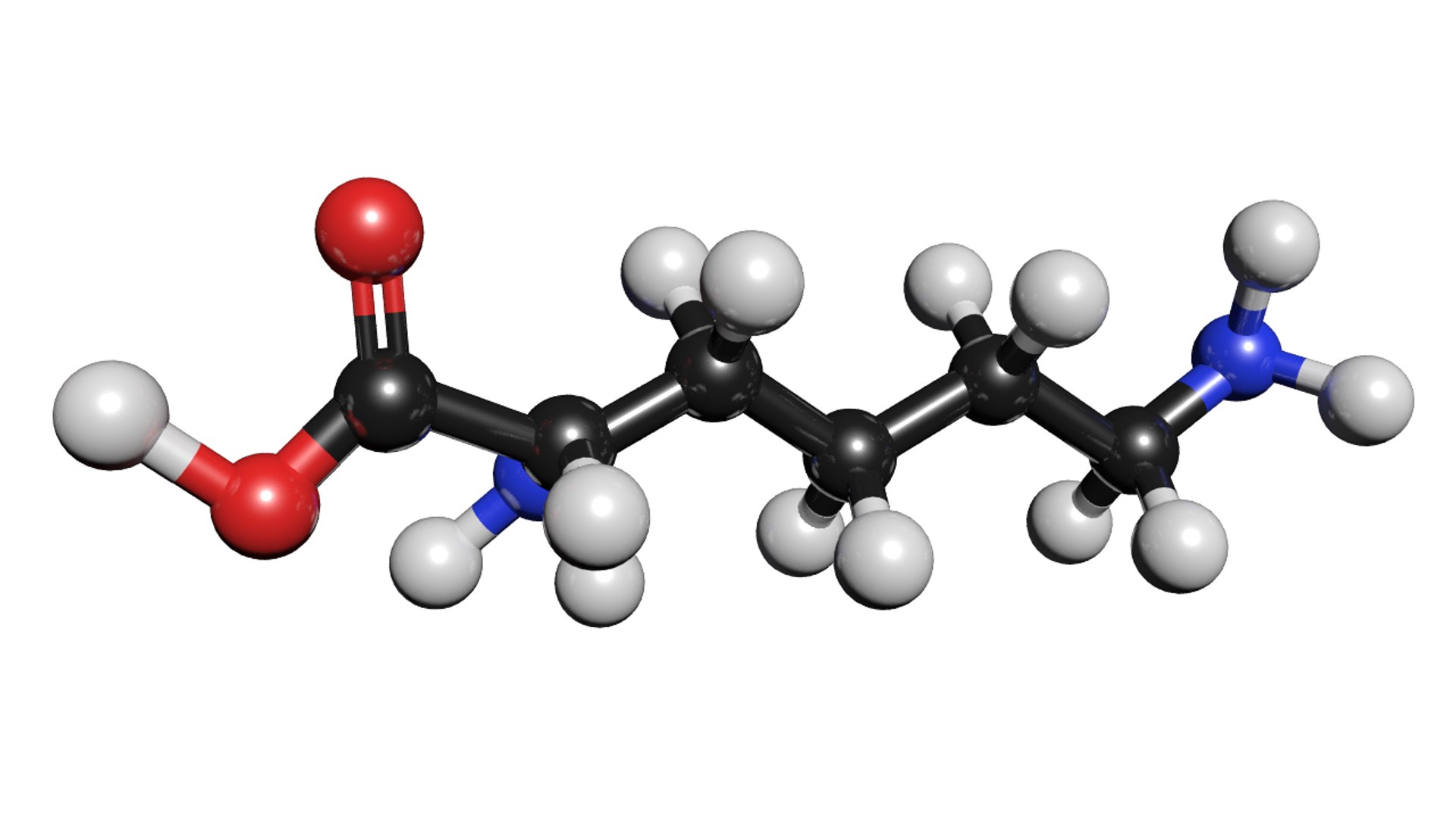 3D c6h14n2o2 lysine model - TurboSquid 1425564