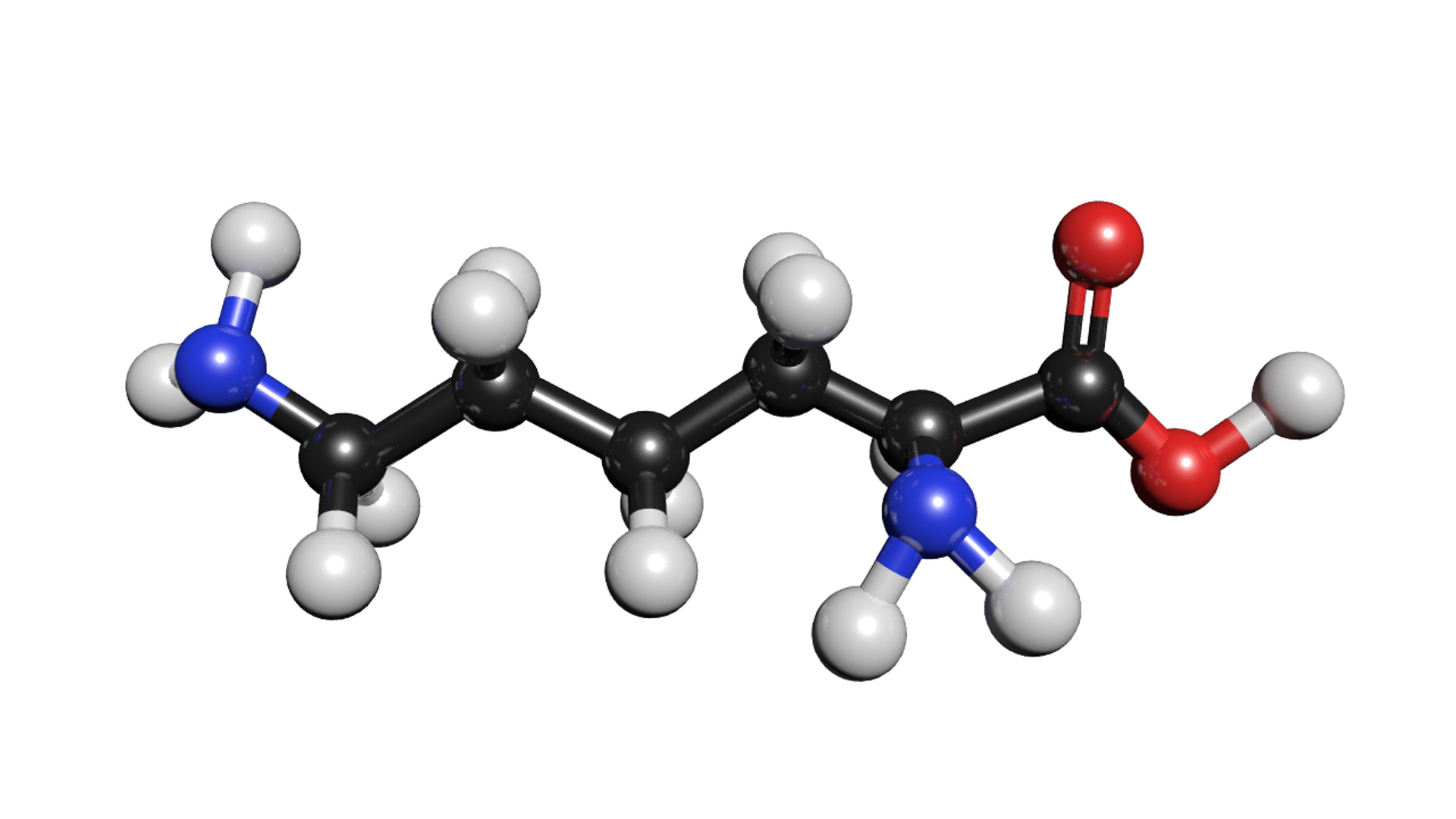 3D c6h14n2o2 lysine model - TurboSquid 1425564