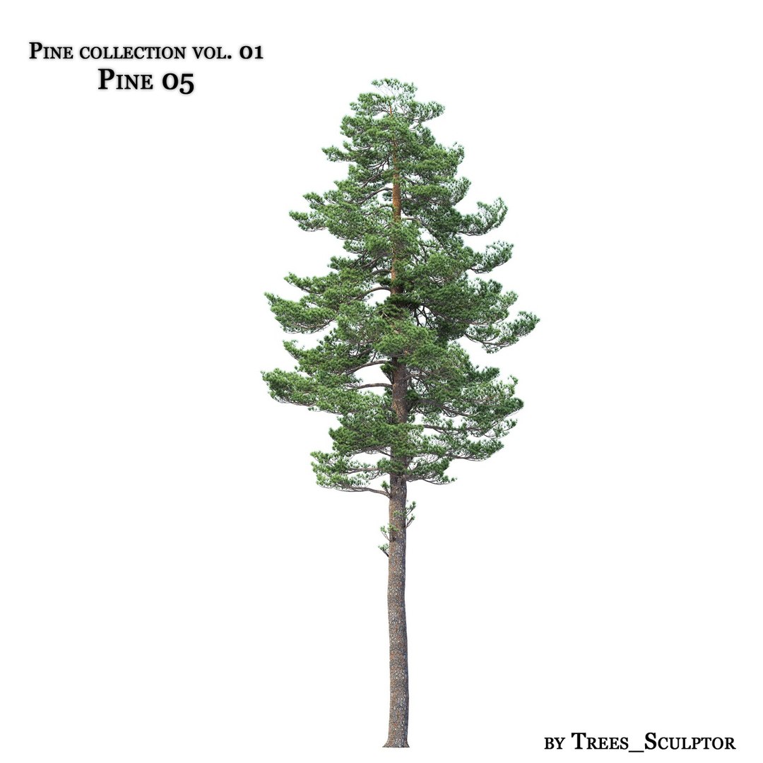 3d Pine-tree Tree