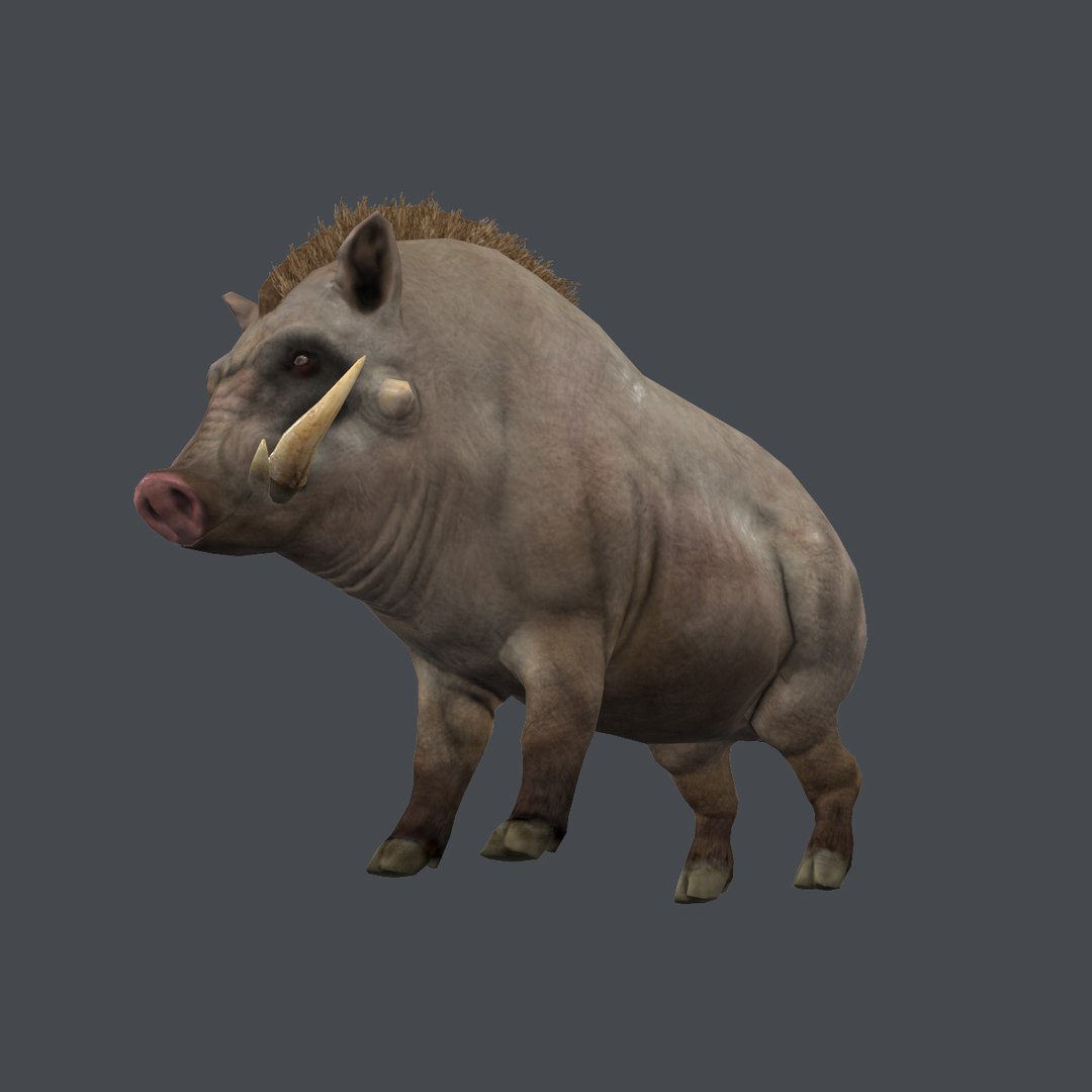 Low-poly Boar Max