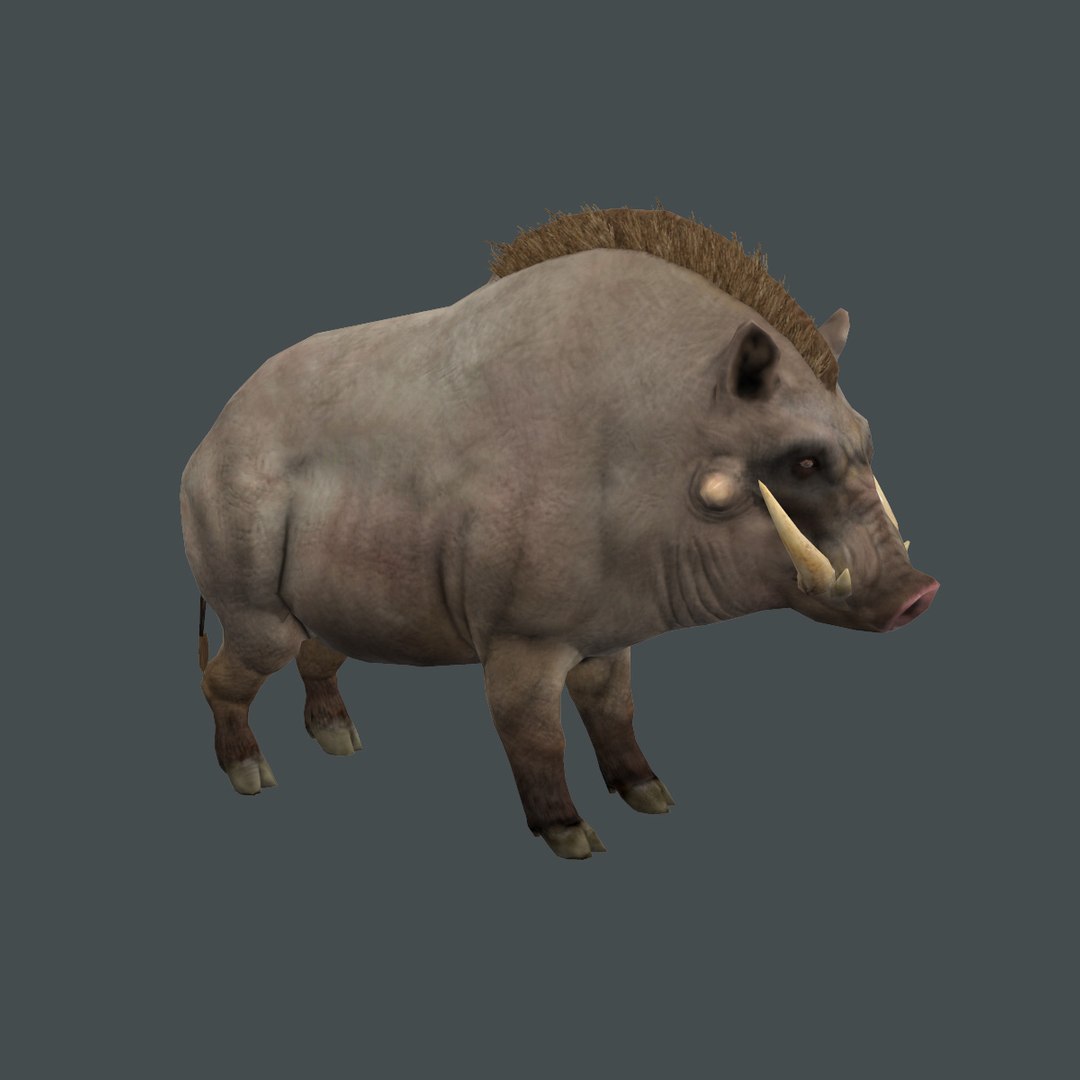 Low-poly Boar Max