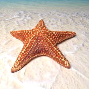 starfish alien creature 3d fbx