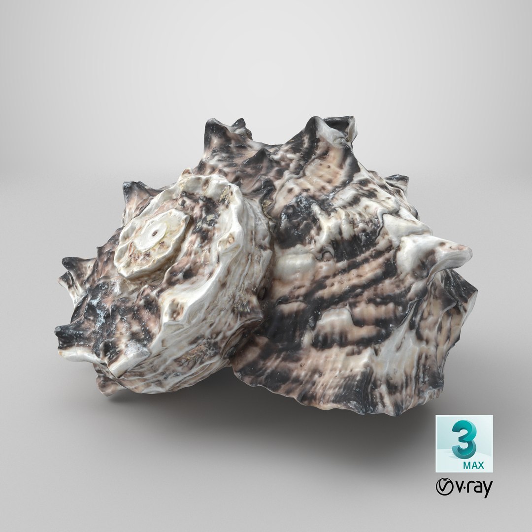 3D Angaria Delphinus 2 - TurboSquid 2214399