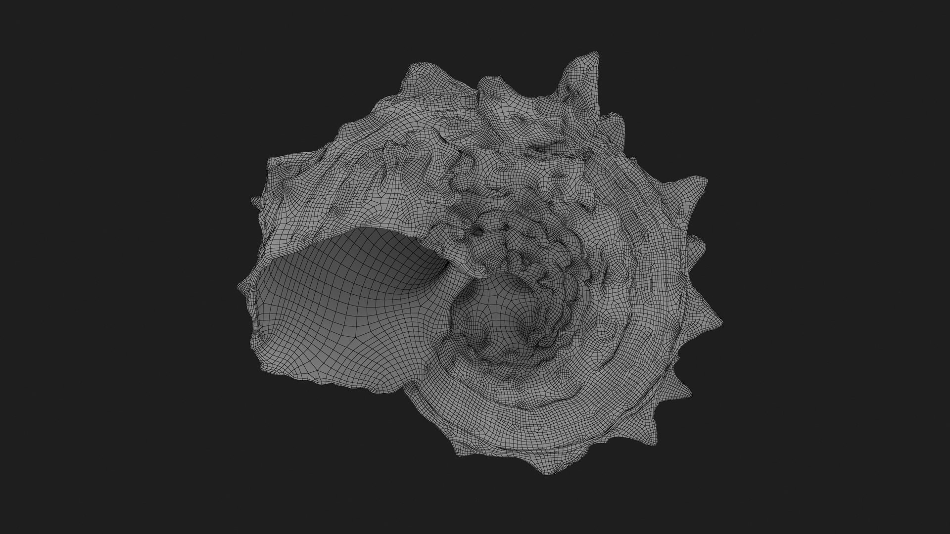 3D Angaria Delphinus 2 - TurboSquid 2214399