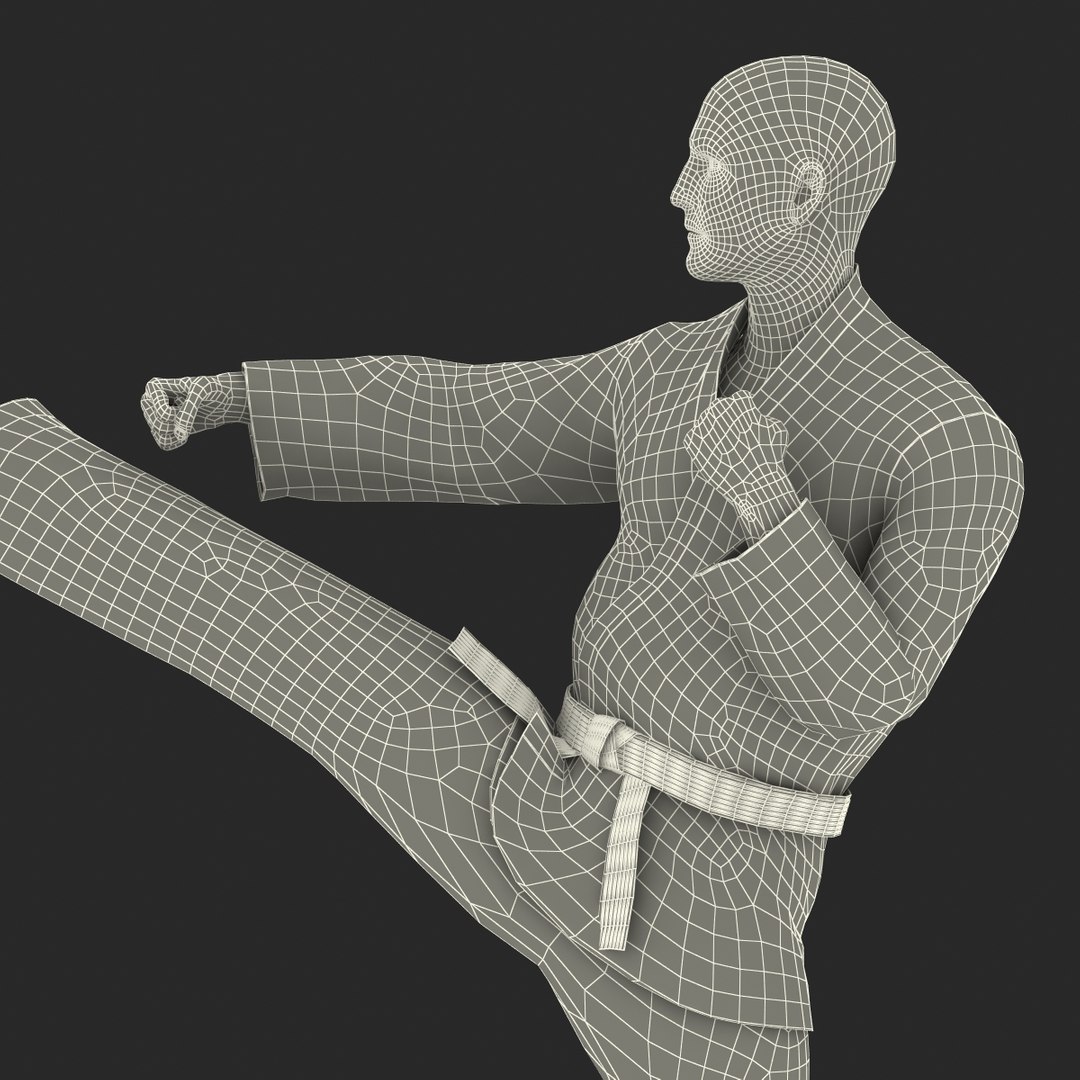 Karate Fighter Pose 2 3d Model