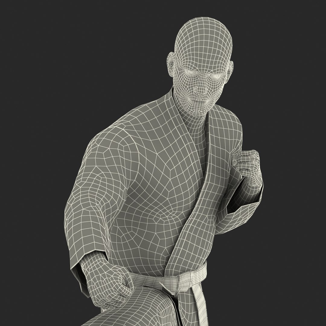 Karate Fighter Pose 2 3d Model