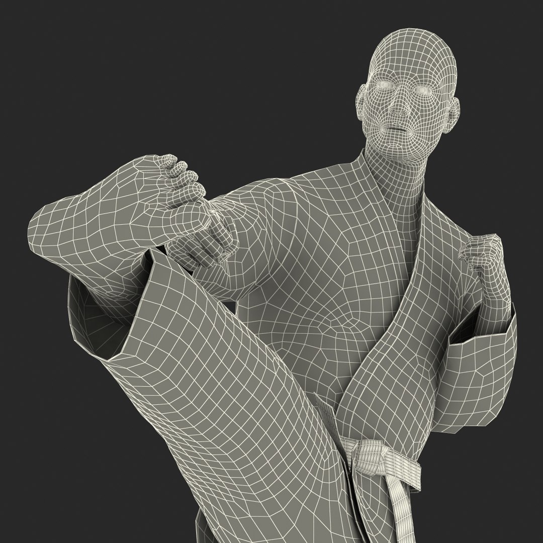 Karate Fighter Pose 2 3d Model