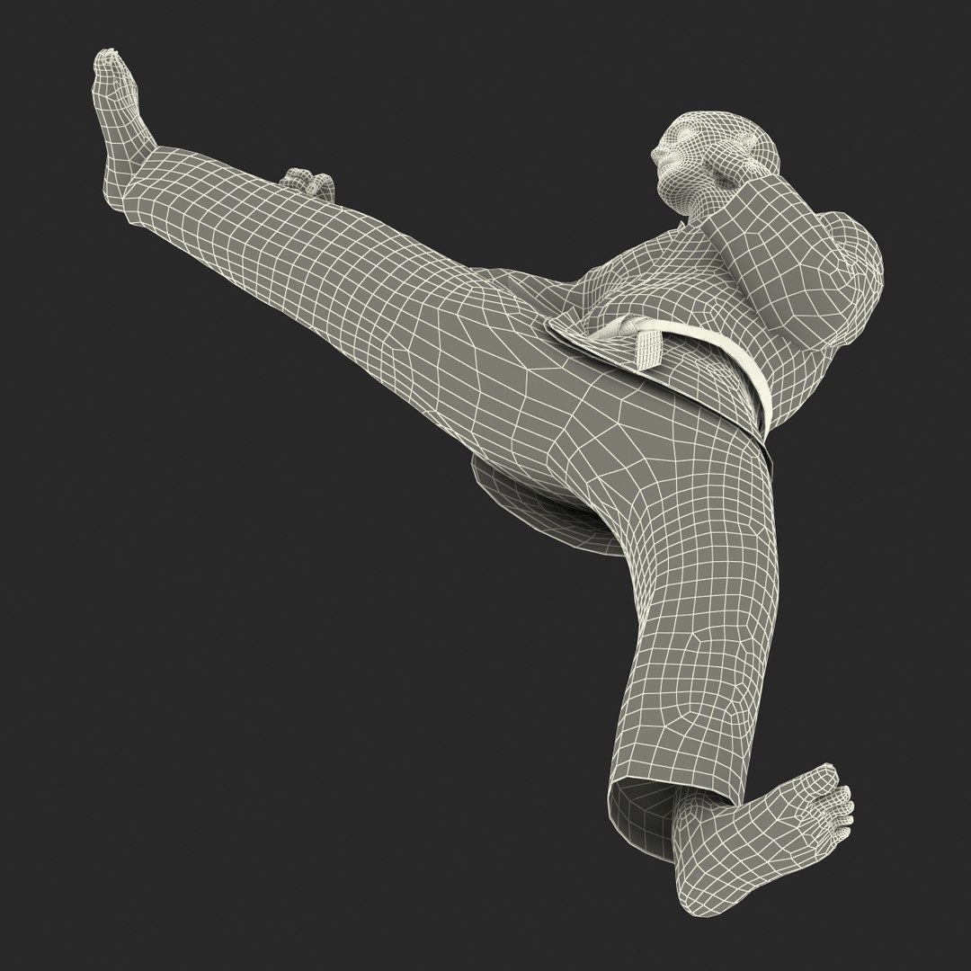 Karate Fighter Pose 2 3d Model