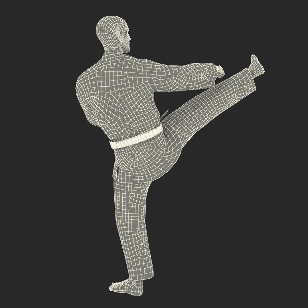 Karate Fighter Pose 2 3d Model