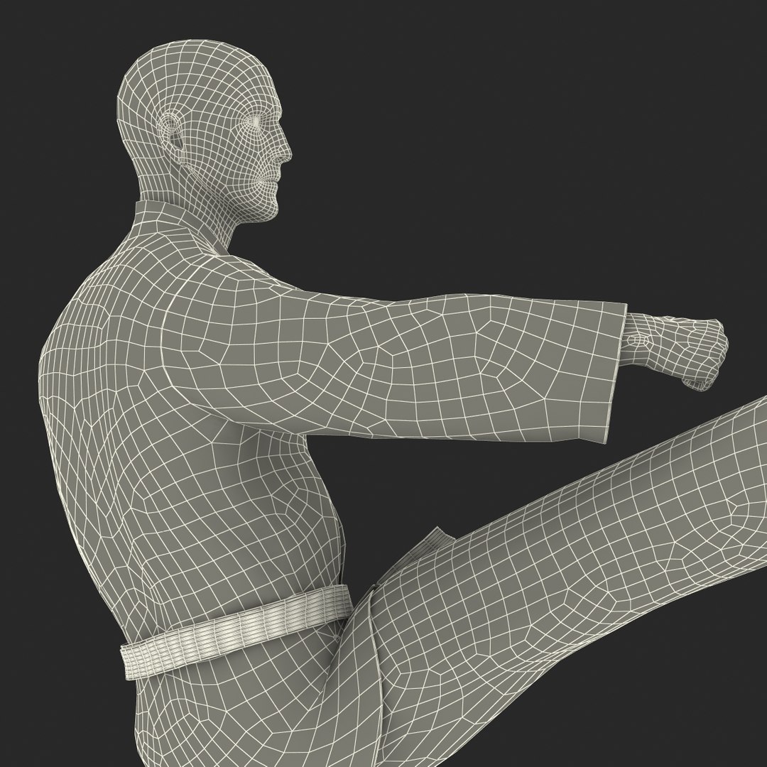 Karate Fighter Pose 2 3d Model