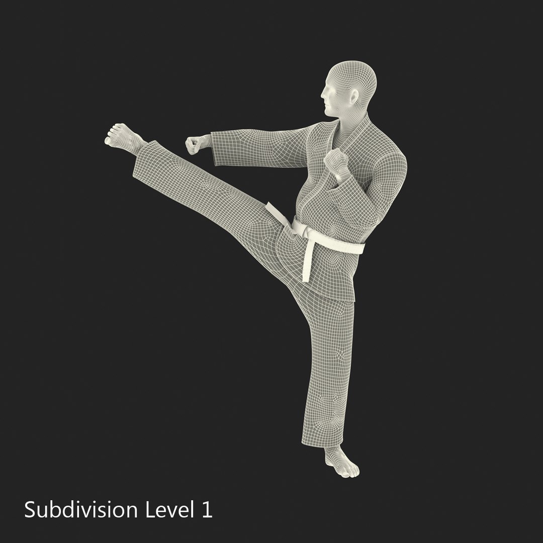 Karate Fighter Pose 2 3d Model