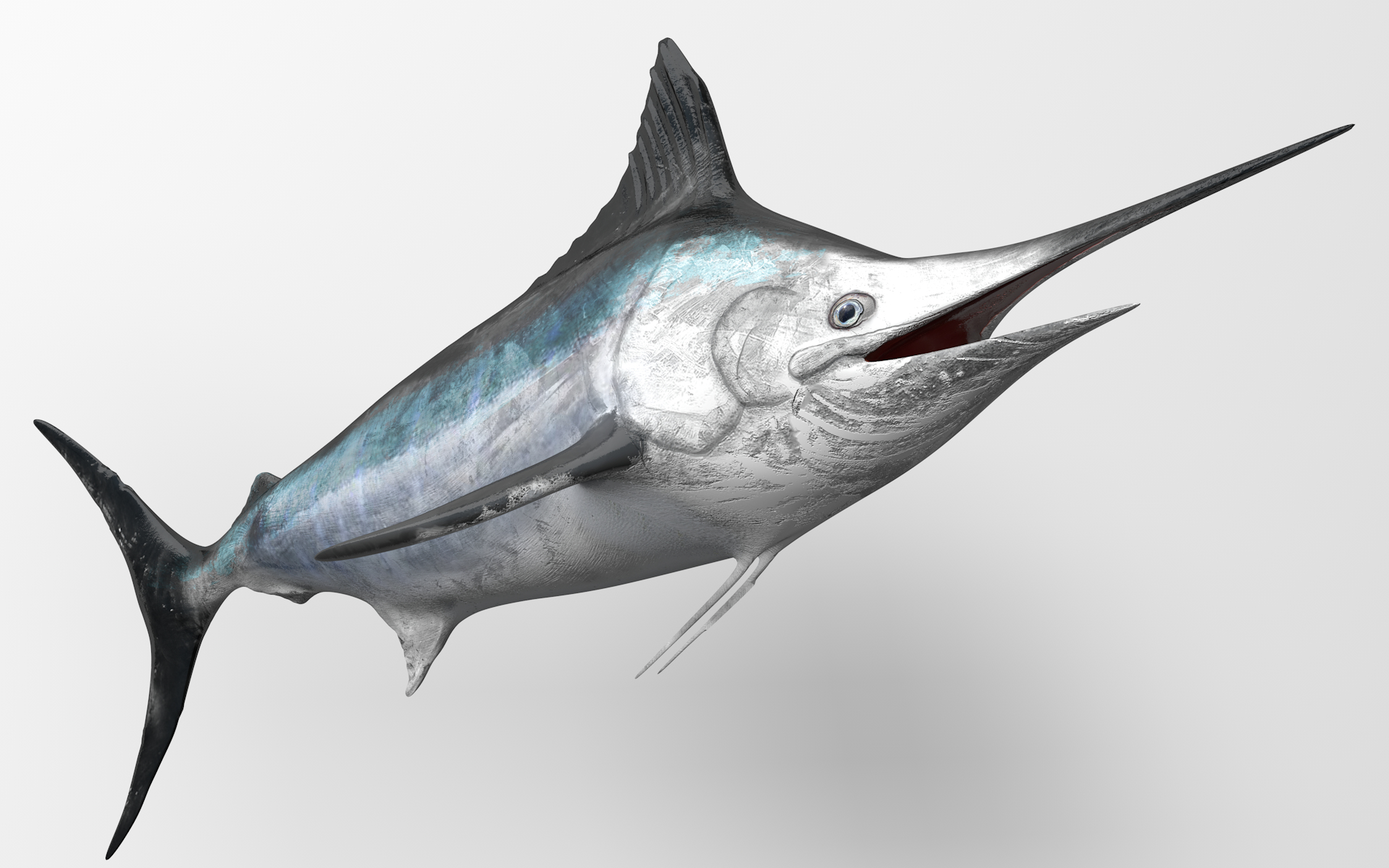 modelo 3d Marlin aparejado L1590 - TurboSquid 1826251