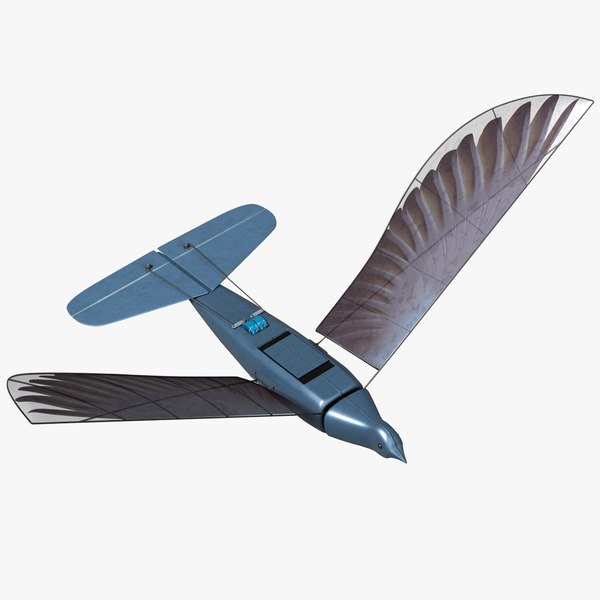 modelo 3d Drone ornitóptero espía - TurboSquid 2212560