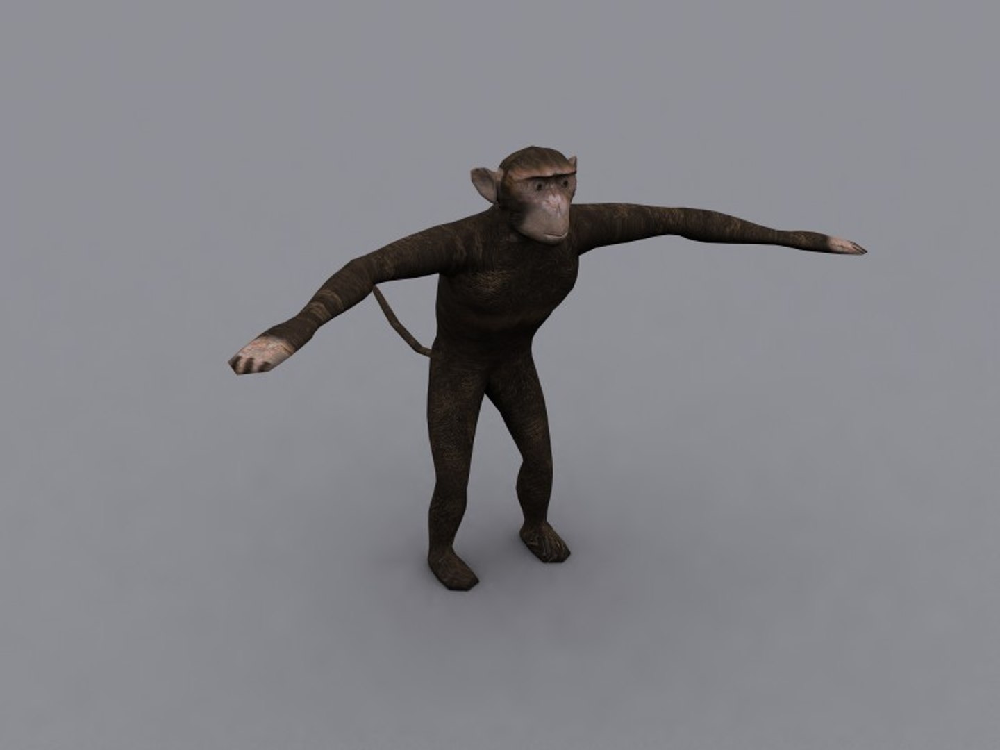 Monkey Animation Obj
