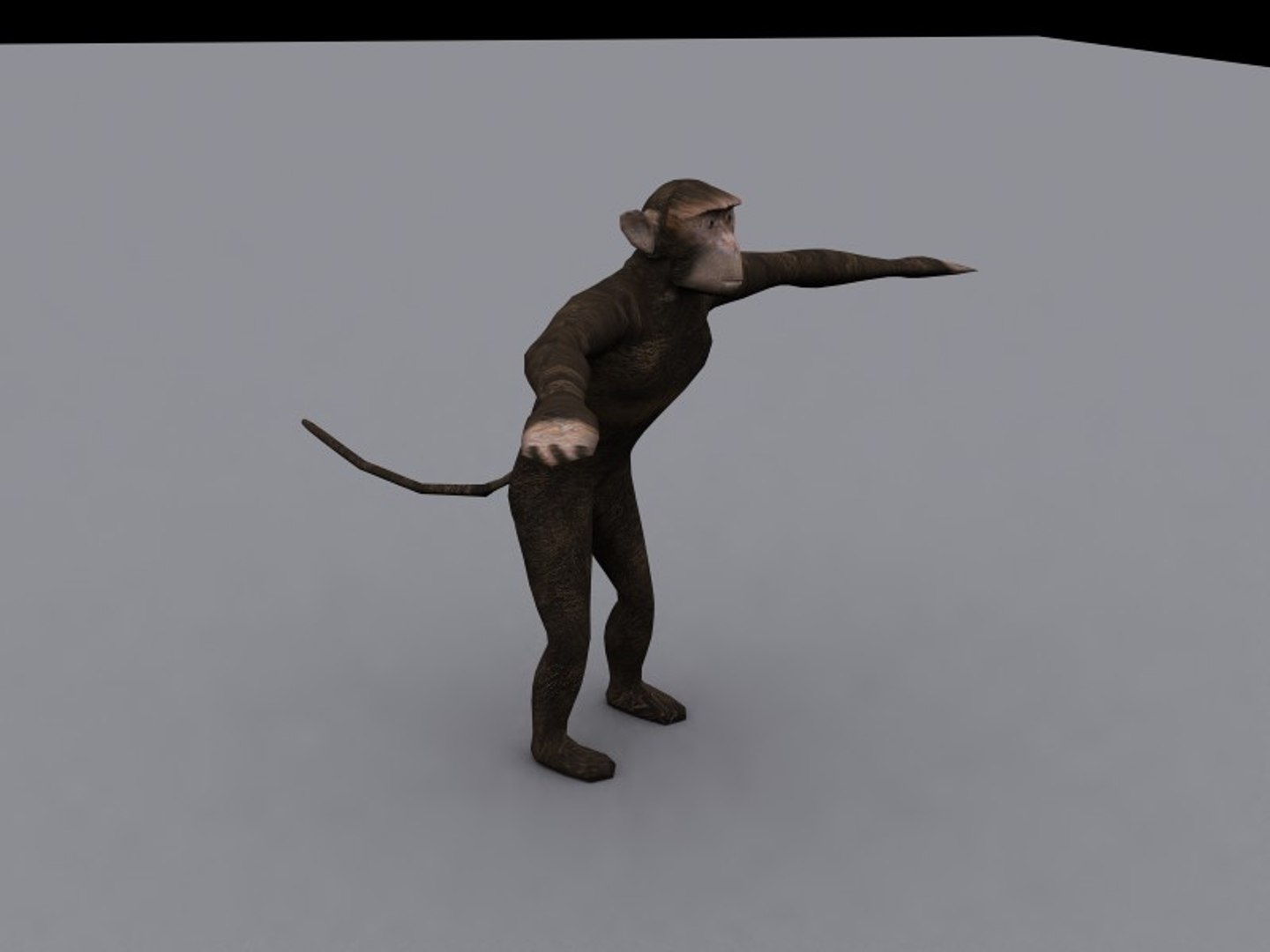 Monkey Animation Obj