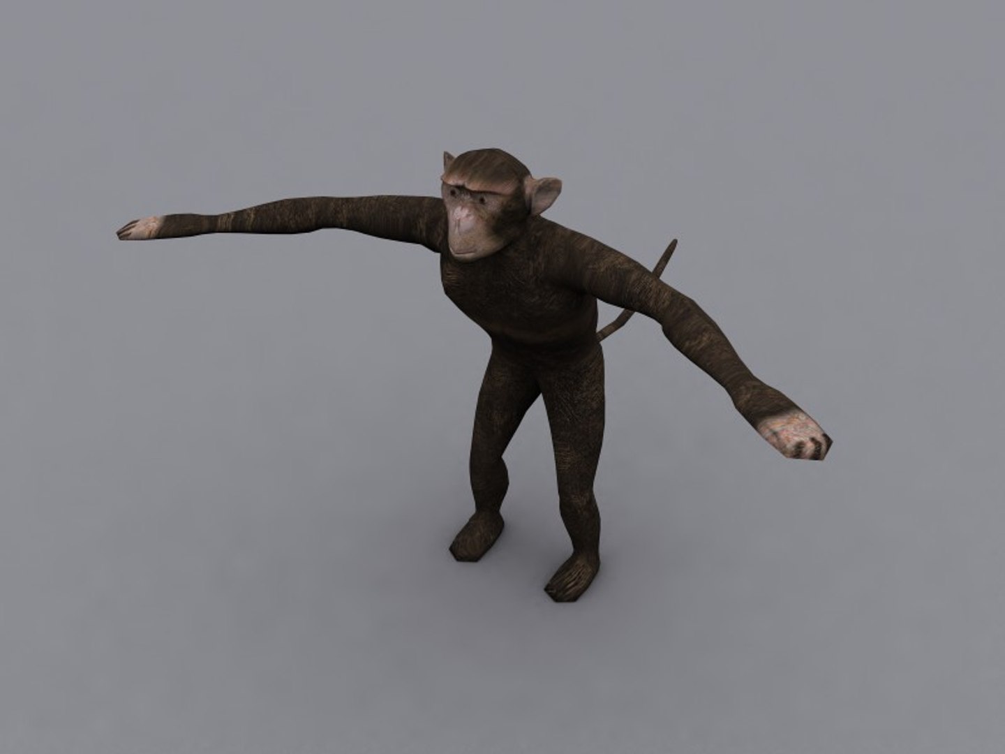 Monkey Animation Obj